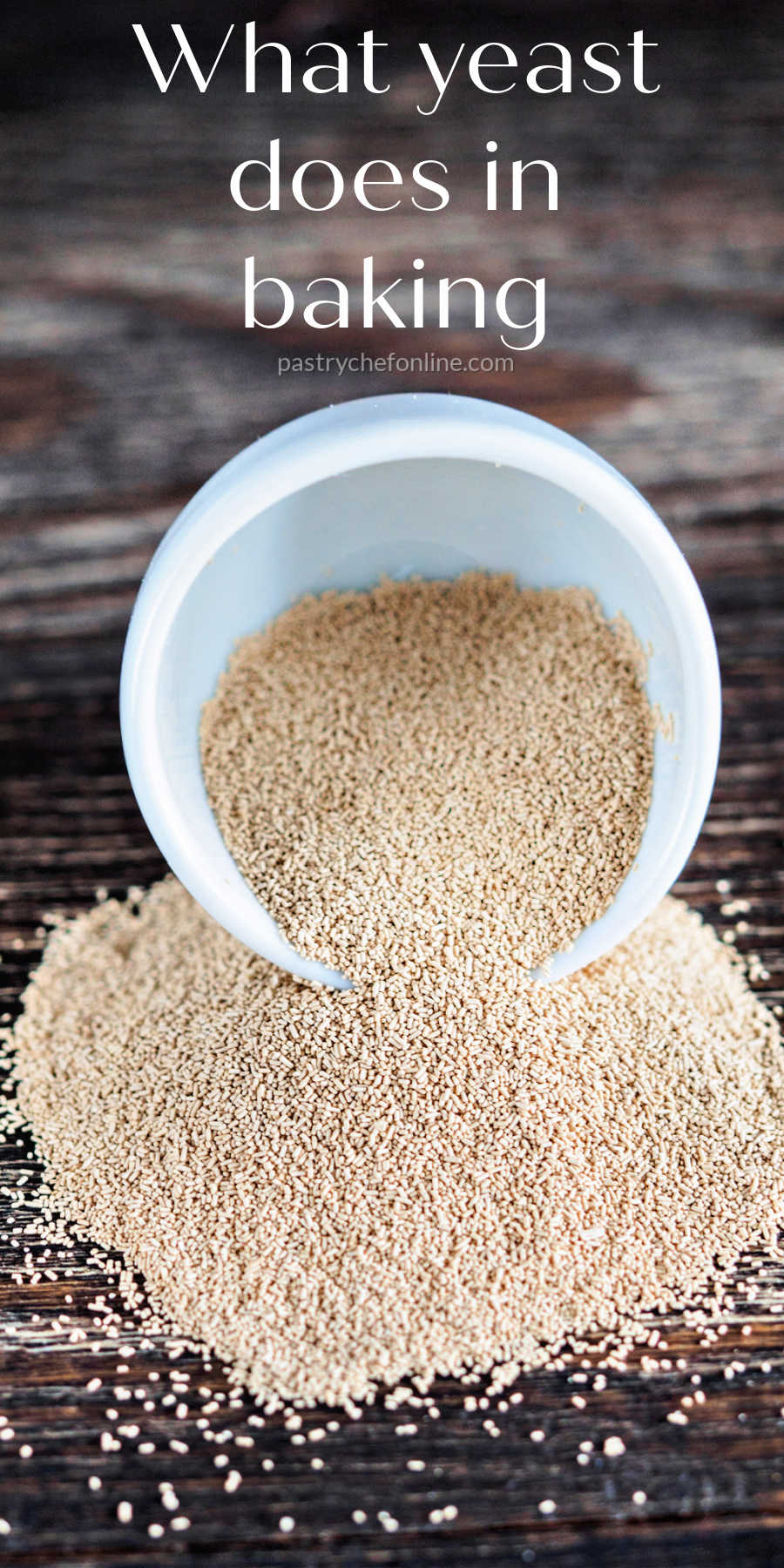 What Does Yeast Do In Bread Baking? - Pastry Chef Online