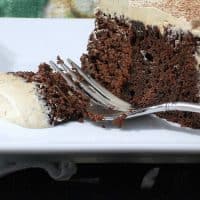 Chocolate Stout Cake with Burnt Caramel Buttercream: I Really Should ...