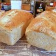 Making Soft Spent Grain Bread for Sandwiches | Pastry Chef Online