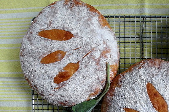 Savory Pumpkin Sage Bread - Pastry Chef Online