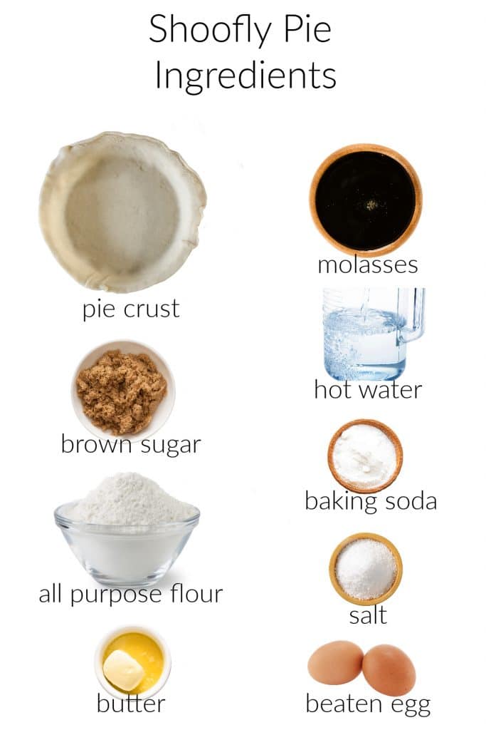Amish Wet Bottom Shoofly Pie Recipe | Sweet, Gooey Perfection