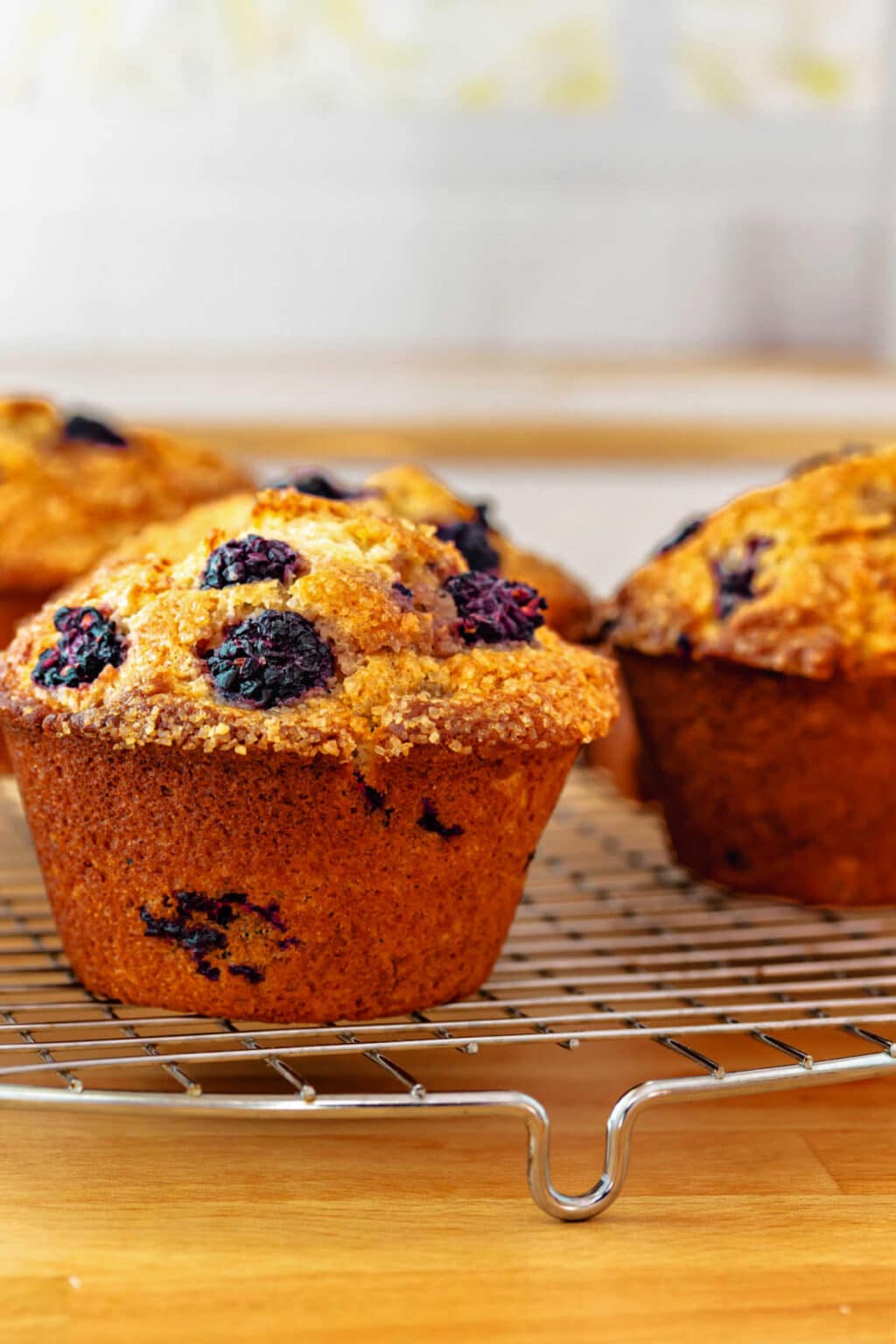 Jumbo Blackberry Muffins - Pastry Chef Online