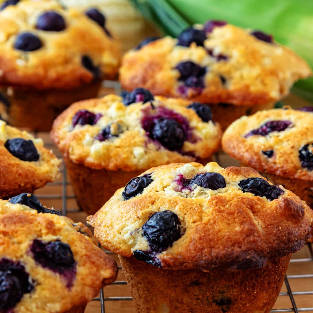 Blueberry Corn Muffins - Pastry Chef Online